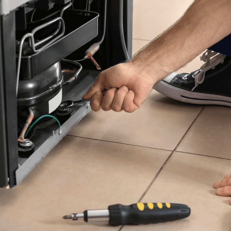 Maximizing Efficiency: A Deep Dive into Reach-In Refrigerators&Freezer